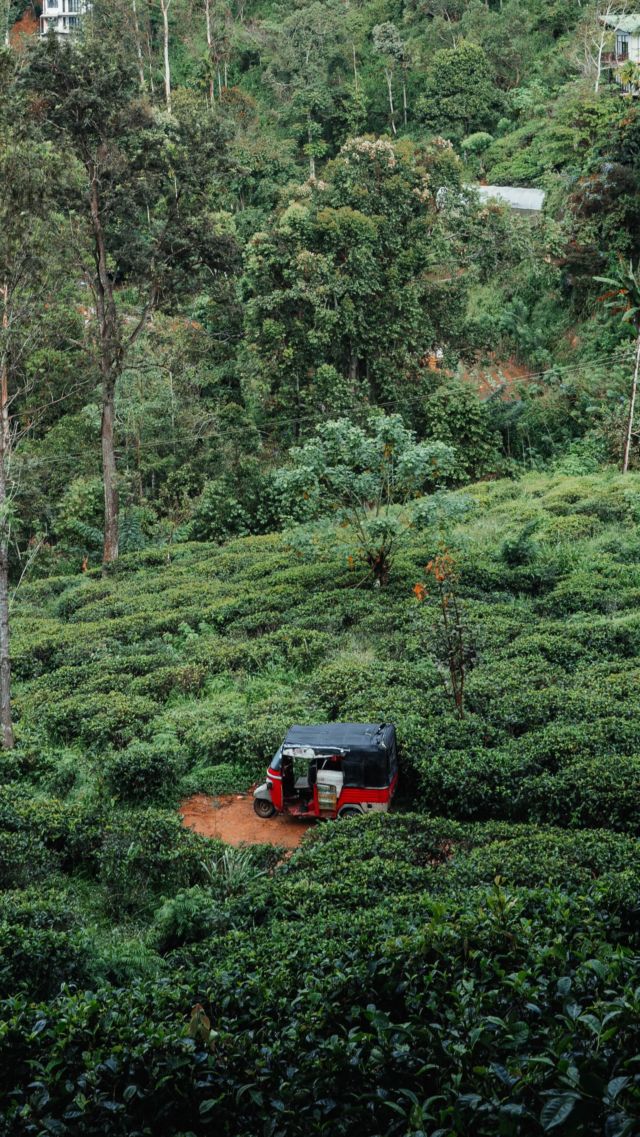 Central America – Ellensvoyage